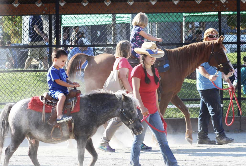 Family-friendly Seattle festivals and fairs for Summer 2026