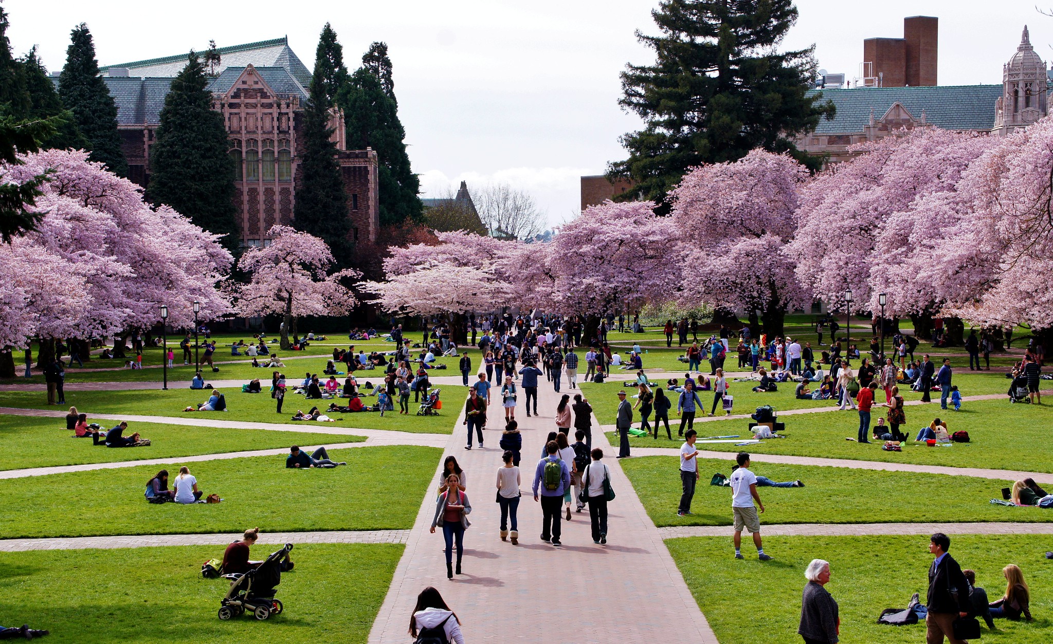 WA offers guaranteed college tuition for low-income families
