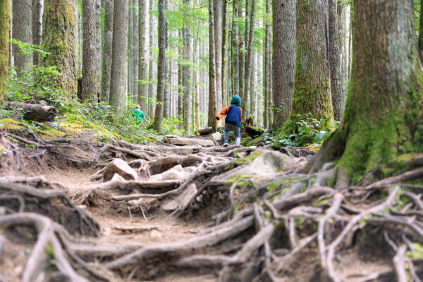 Heybrook Lookout: A kid-friendly hike with big views - Seattle's Child