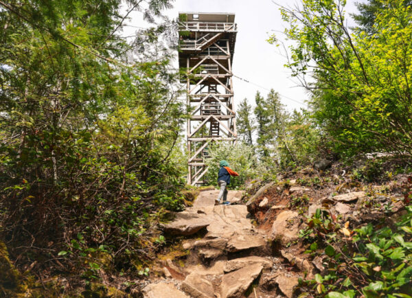 Heybrook Lookout: A kid-friendly hike with big views - Seattle's Child