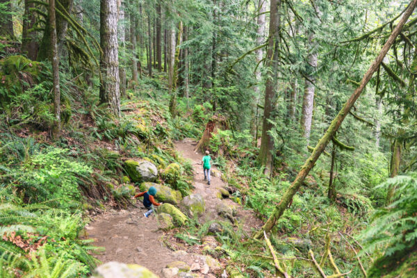 Heybrook Lookout: A kid-friendly hike with big views - Seattle's Child