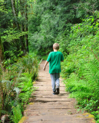 Heybrook Lookout: A kid-friendly hike with big views - Seattle's Child