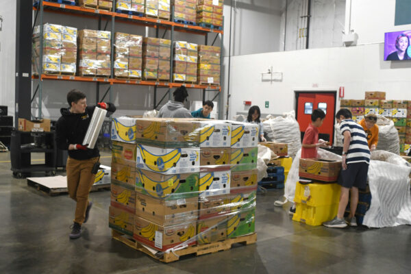 Food Lifeline Seattle: A Family Volunteering Guide - Seattle's Child