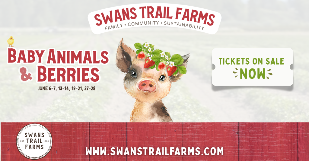 Baby Animals & Berries Festival - Seattle's Child